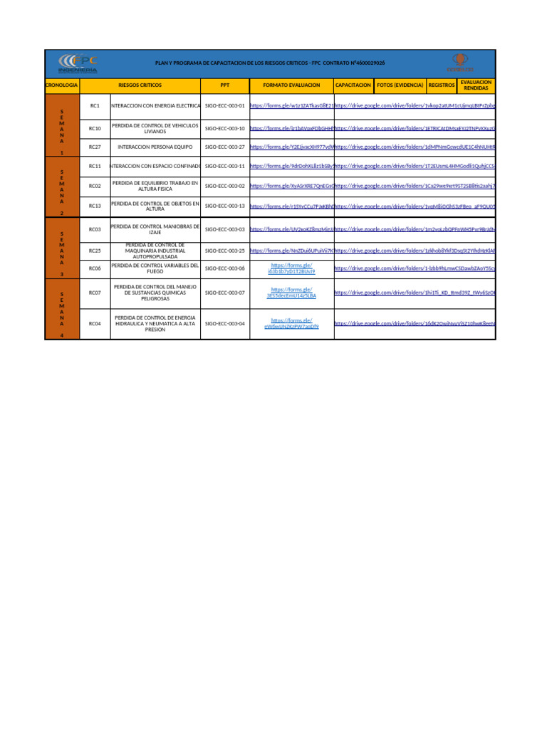 Plan y Programa de Capacitacion Riesgos Criticos FPC | PDF