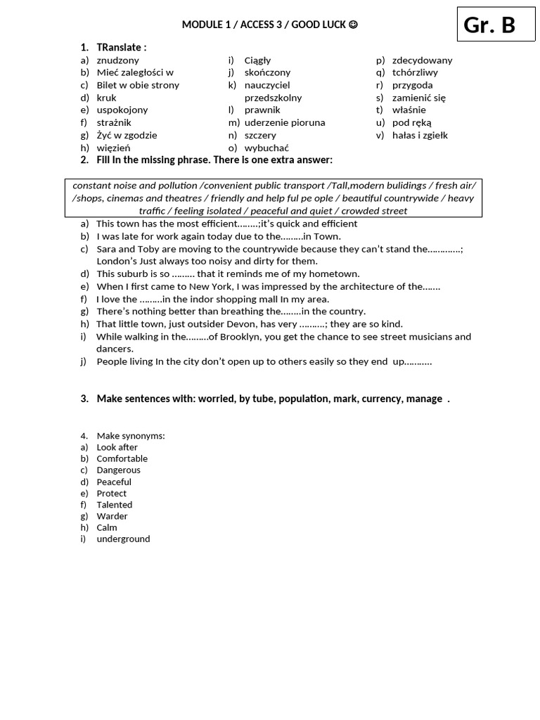 MODULE 1 Access 3 Test Group B | PDF