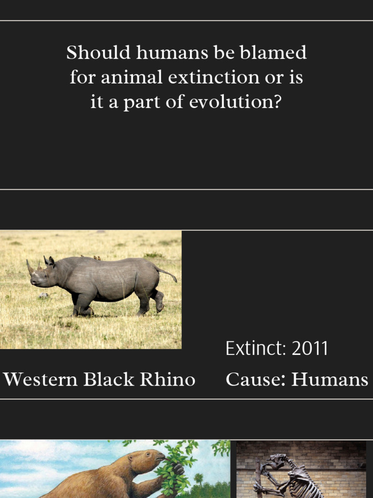 Human Impact on Animal Extinction | PDF