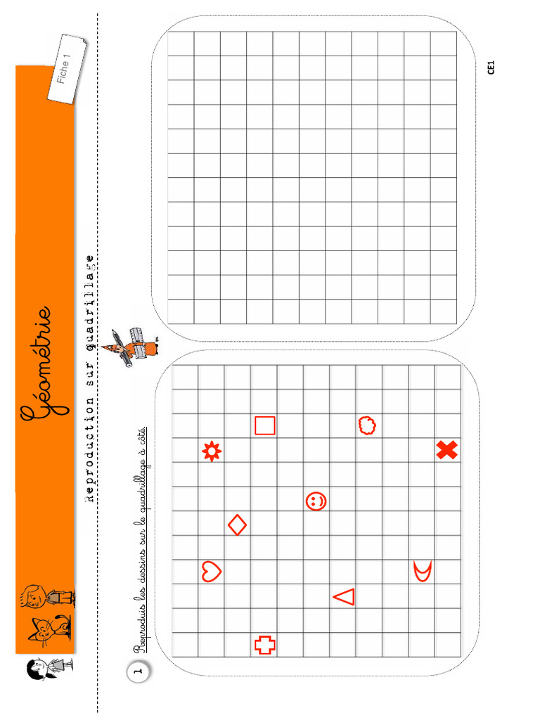 P1.GM2 Fichier Exercices Élèves BDG - Reproduction | PDF