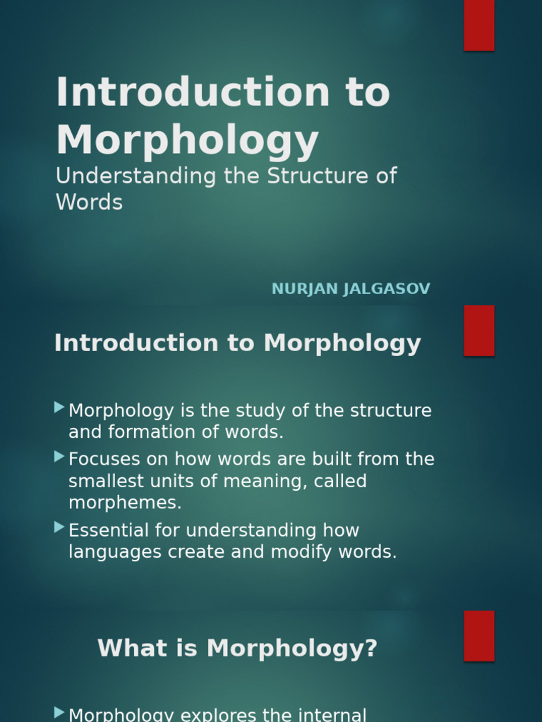 Lecture 3. Introduction To Morphology | PDF | Word | Morphology (Linguistics)