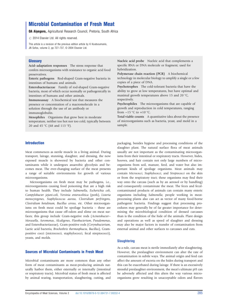 Microbial Risks in Fresh Meat Safety | PDF | Bacteria | Escherichia Coli