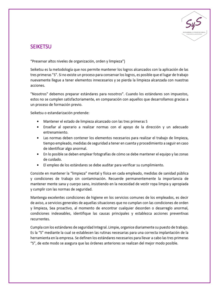 Seiketsu: Estándares de Orden y Limpieza | PDF