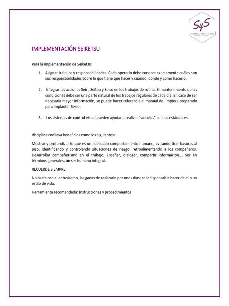 Implementación Efectiva de Seiketsu | PDF