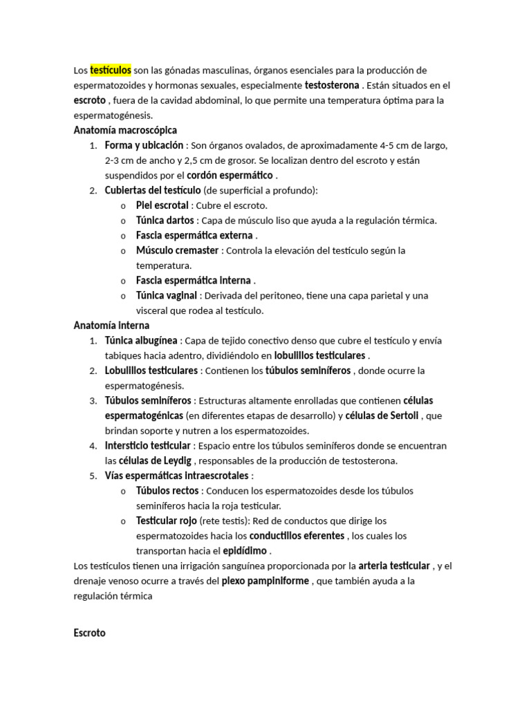 Anatomía y Función de los Testículos y Escroto | PDF | Testículo | Próstata