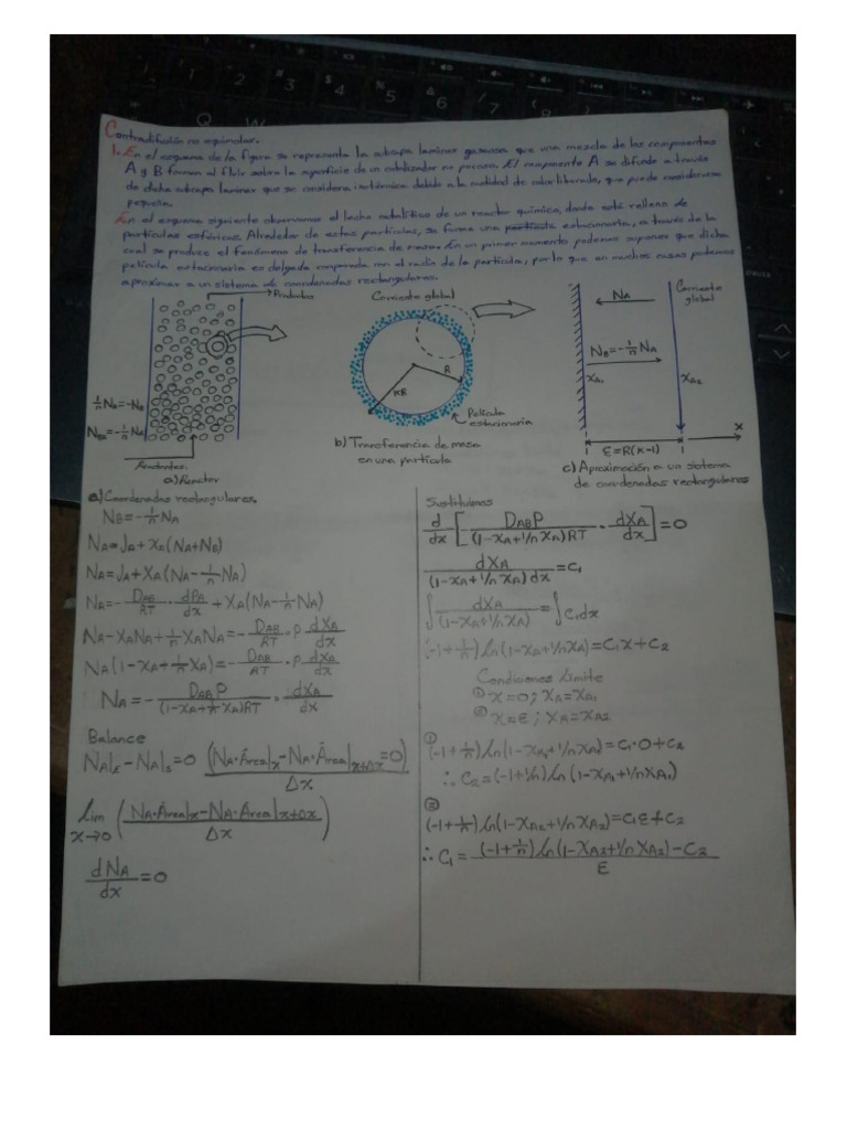 Andres Fenomenos | PDF