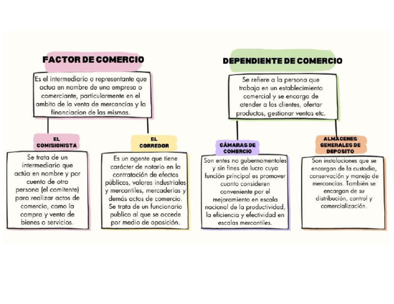 Mapa Conceptual II | PDF