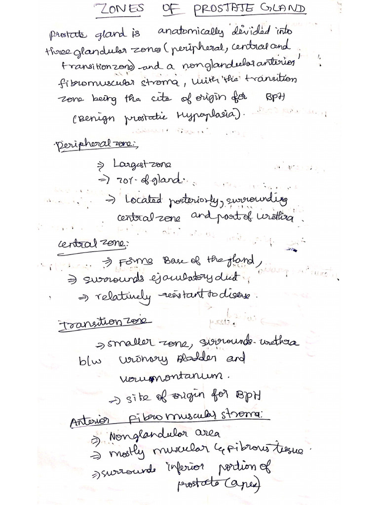 Zones of Prostate Glands | PDF