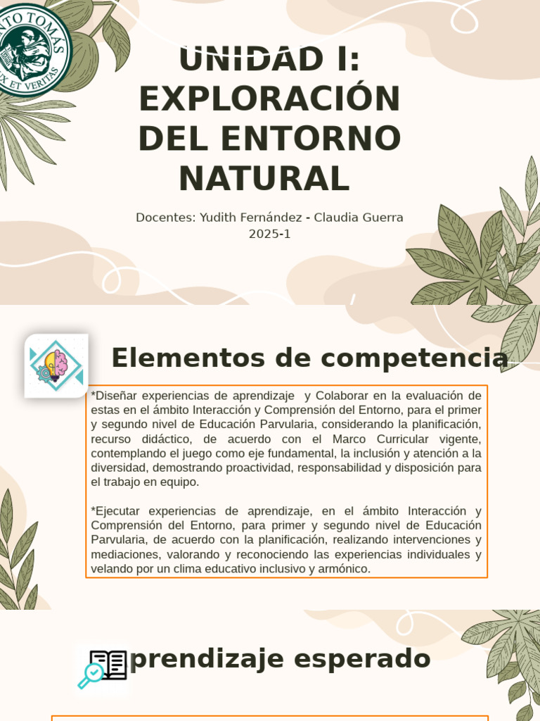 EXPLORACIÃ - N DEL ENTORNO Clase 2 | PDF
