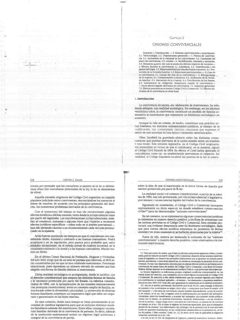 Libro Solari. Derecho de Las Familia. Uniones Convivenciales (7598) | PDF