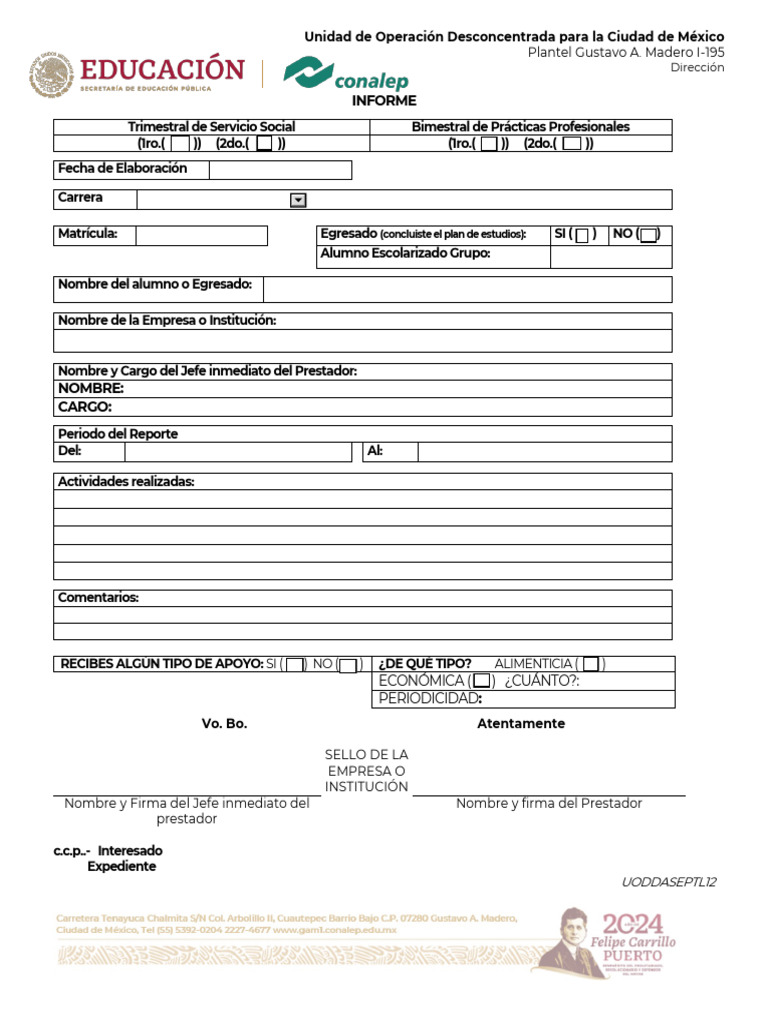 1er Informe Del Servicio Social Nancy Ali | PDF