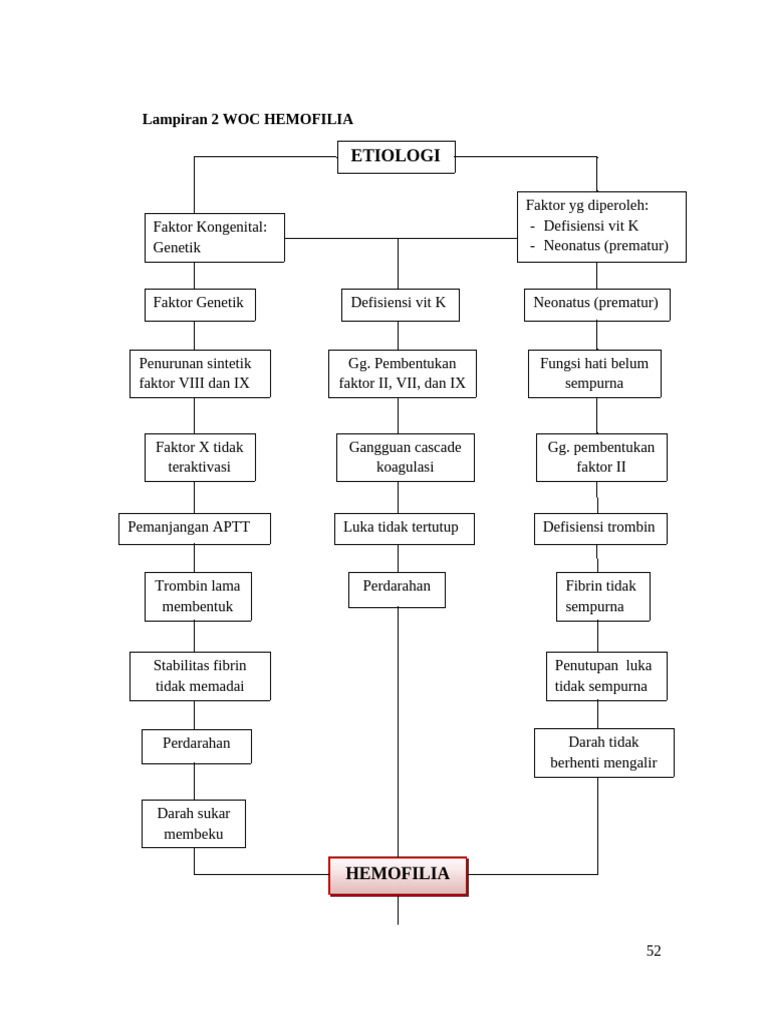 2.D.9 WOC Hemofilia | PDF