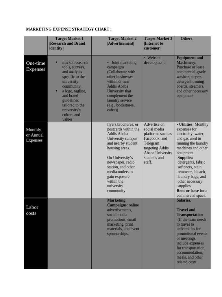 Marketing Strategy for University Laundry Services | PDF | Marketing ...