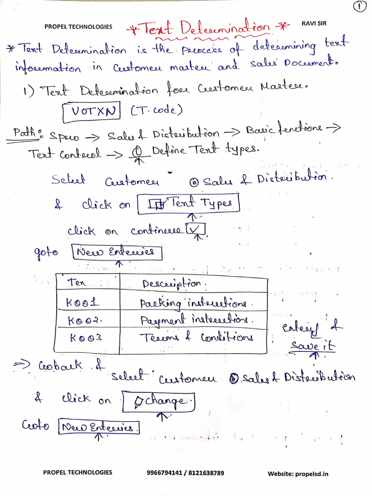 Text Determination & Variant Configuration | PDF