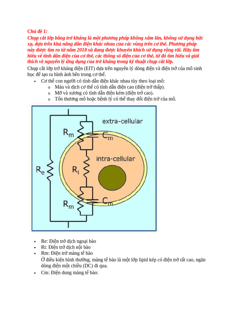 G10 Yk4 Sem2-S1 4 - Ttrang | PDF