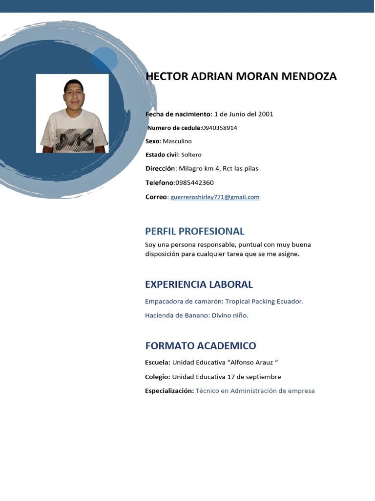 Curriculum Hector Adrian Moran Mendoza 1 | PDF