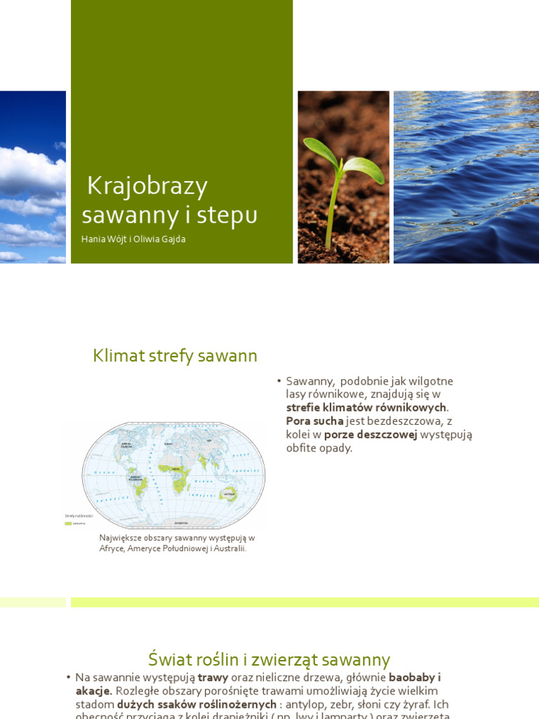 Krajobrazy Sawanny I Stepu | PDF