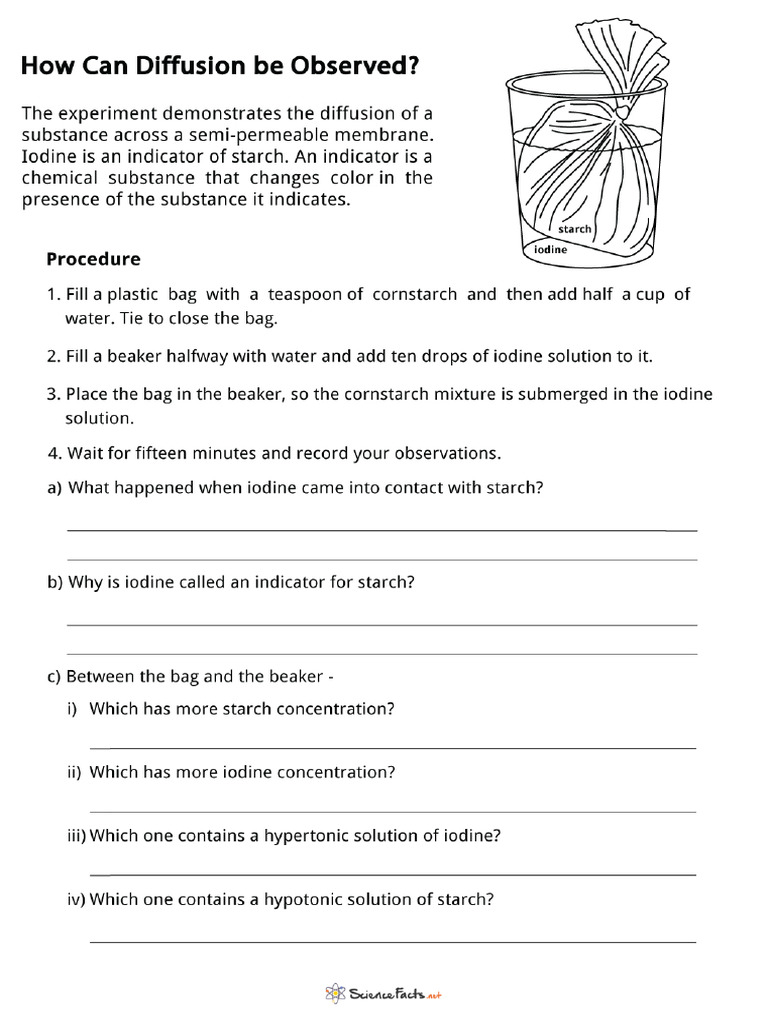 How Can Diffusion Be Observed Worksheet | PDF