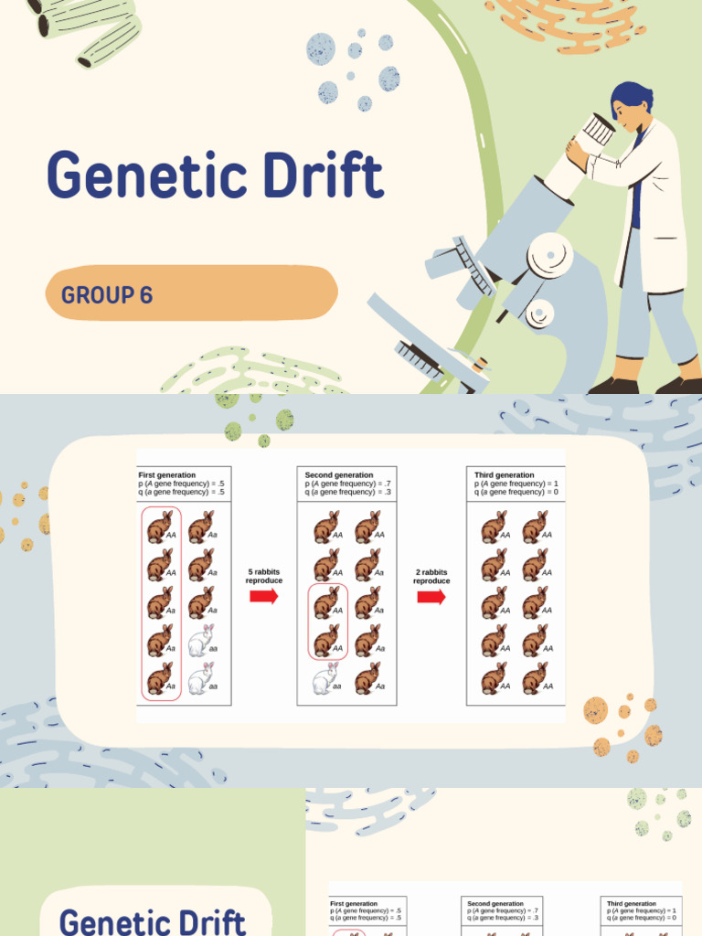 Genetic-Drift | PDF