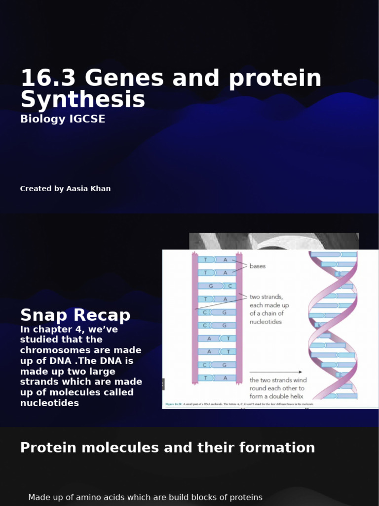 0610 16.3 Genes and Protein Synthesis | PDF