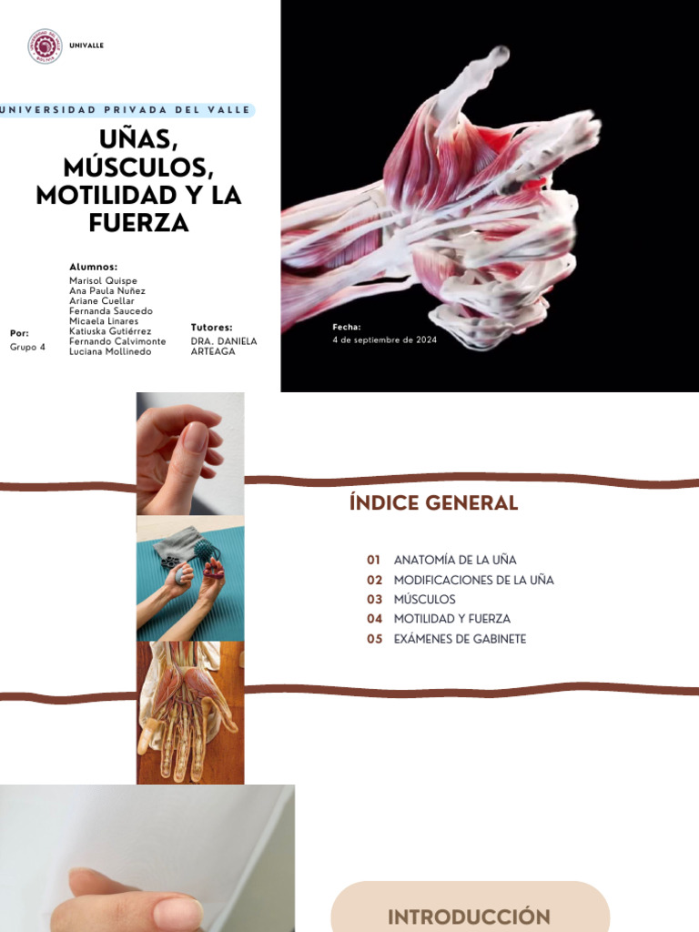Semiología Uña, Músculos y Motilidad PDF | PDF | Clavo (anatomía) | Mano