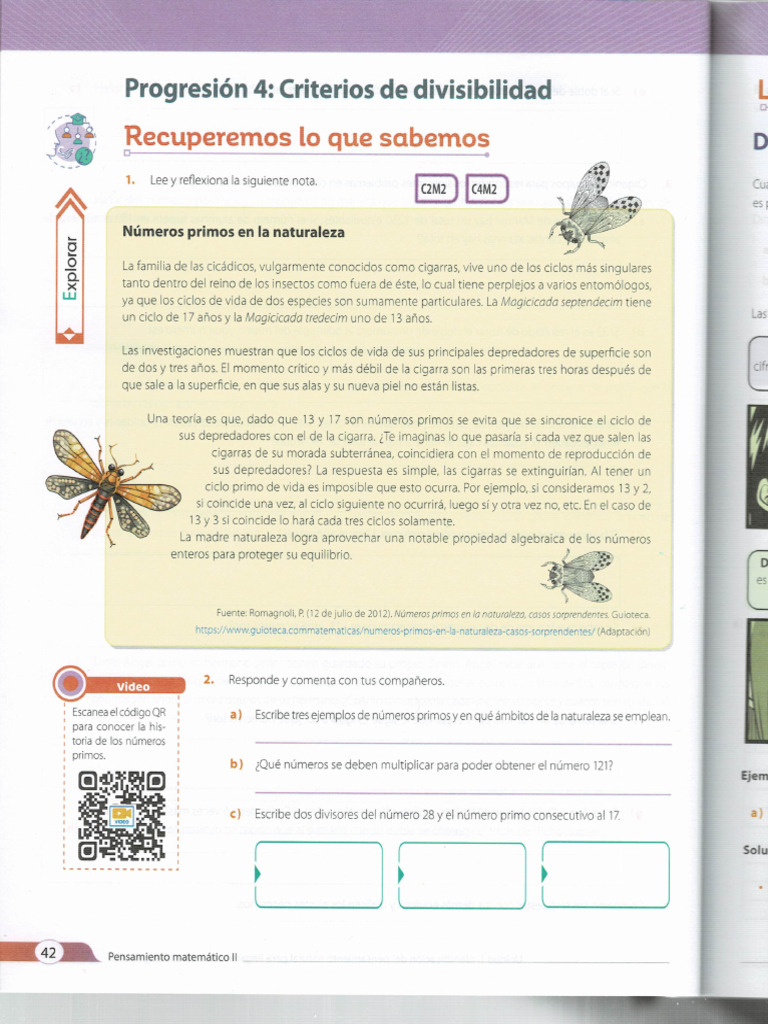 04 Progresi-N 4 Pensamiento Matematico 2 Klik | PDF