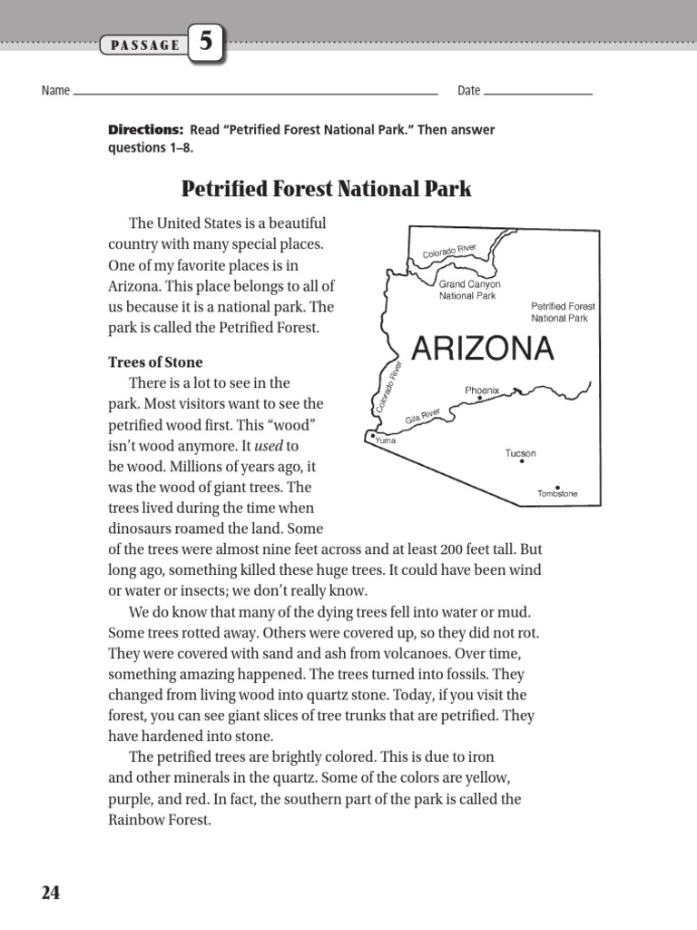 Fun Facts About Petrified Forest | PDF