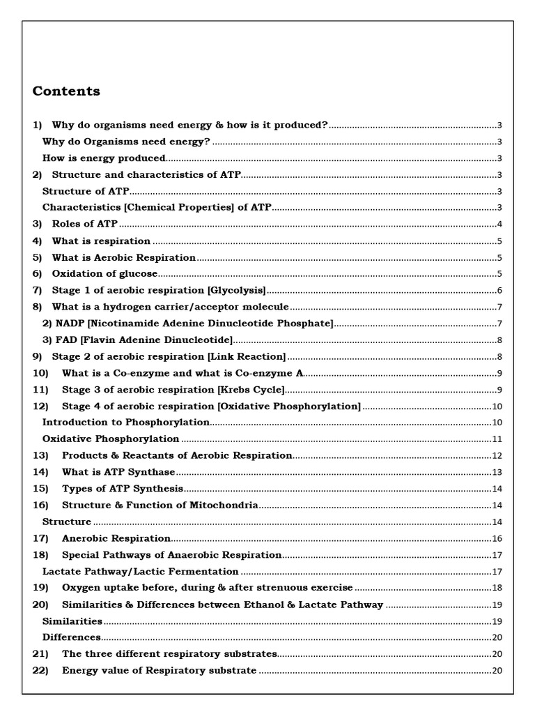 Chapter 12 Energy & Respiration | PDF | Adenosine Triphosphate ...