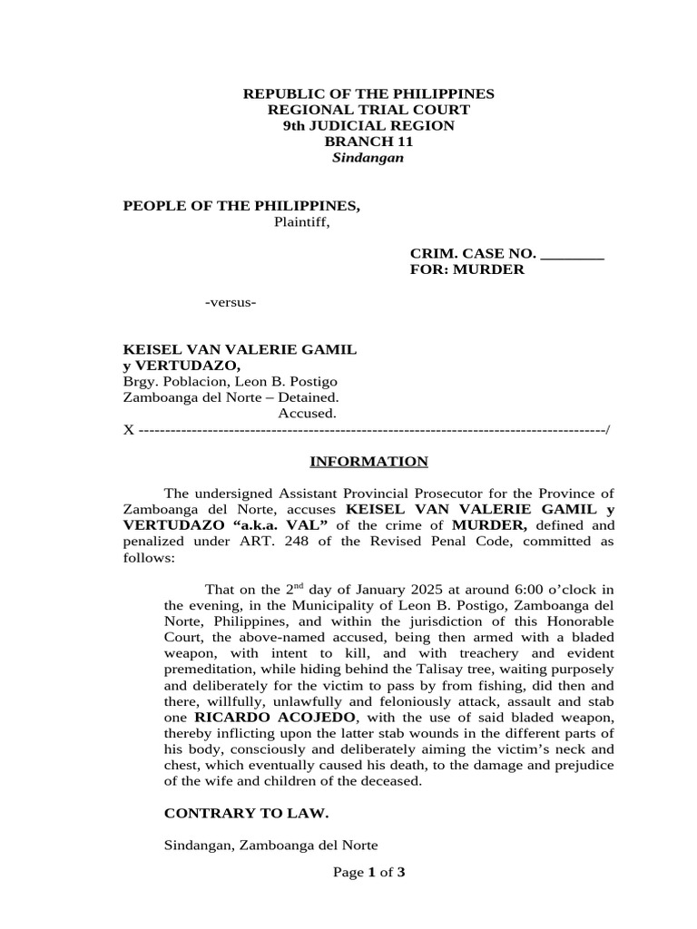 1. Information - Murder | PDF | Murder | Crime & Violence