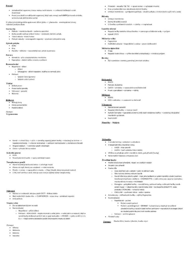 Prvoci - Kopie | PDF