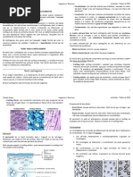 CAFE ANATOMIA Tema 03 Teixit Connectiu (I) | PDF
