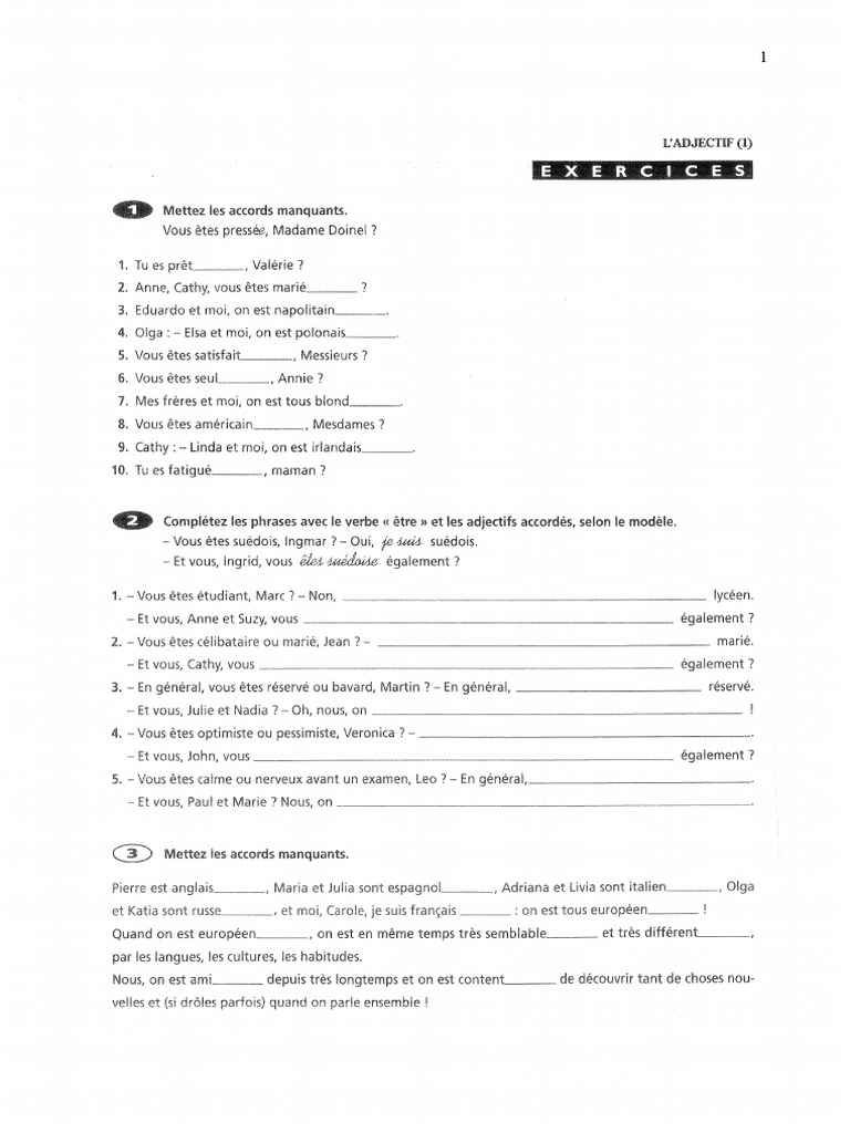 Exercices d'accord des adjectifs | PDF