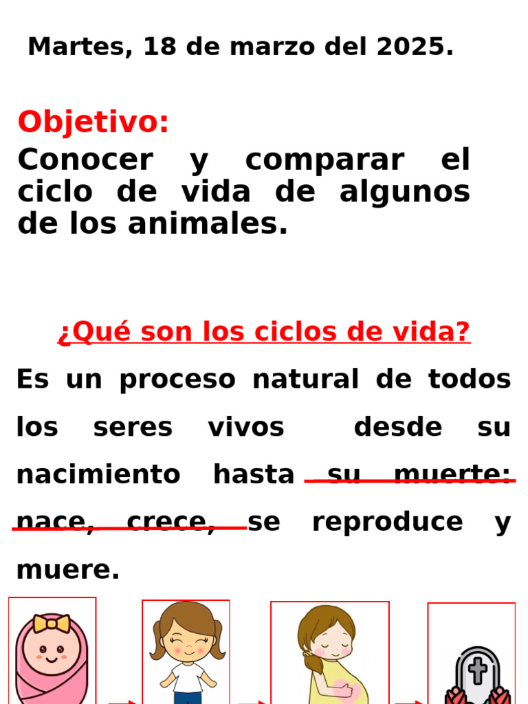 Ciclo de Vida de los Animales | PDF