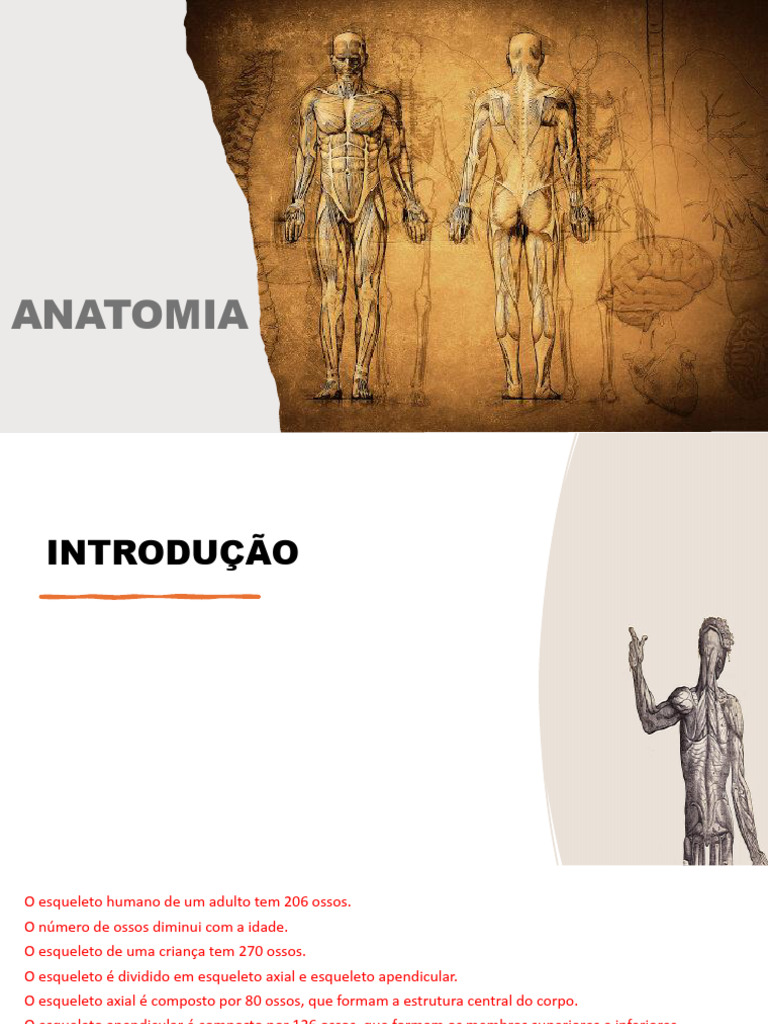 ANATOMIA - Aula 1 | PDF | Anatomia | Corpo humano