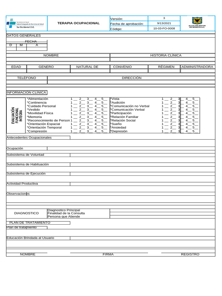 10-03-FO-0008 Formato Terapia Ocupacional V3 | PDF | Terapia ocupacional