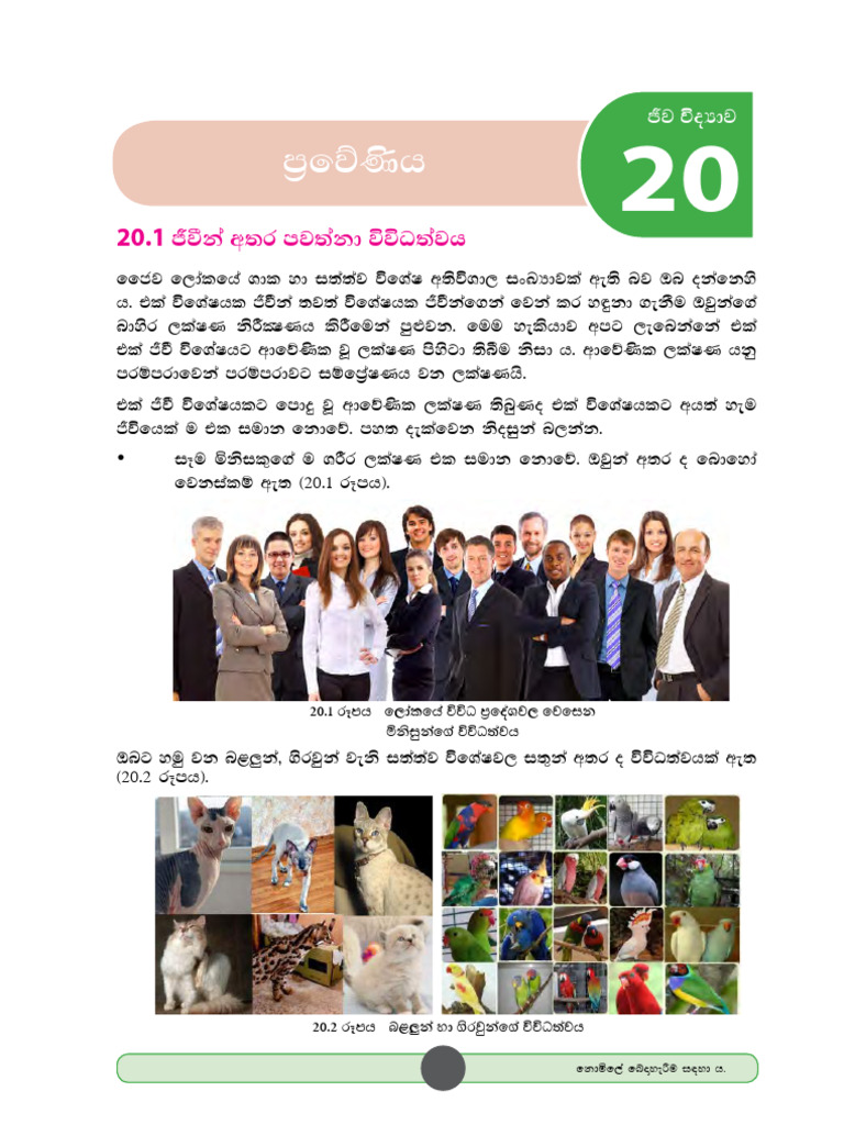 SG10_Sci_Chapter 20 | PDF