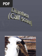 Fecal Scoring Guide for Dogs and Cats | PDF | Feces