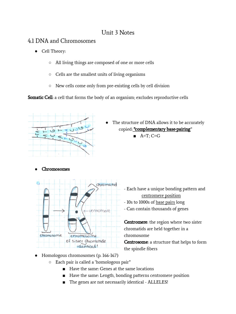 Unit 3 Notes (CH 4,5,&6) - Biology (Gr11 2022) | PDF | Meiosis ...