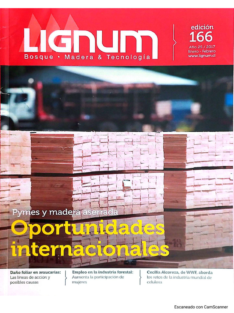 Lignum | PDF