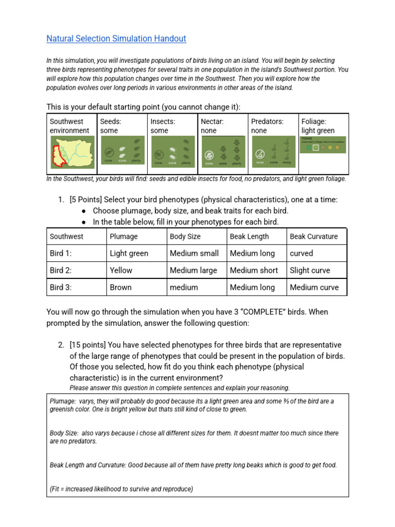 H - 24-25 Natural Selection Simulation Handout | PDF | Birds | Beak