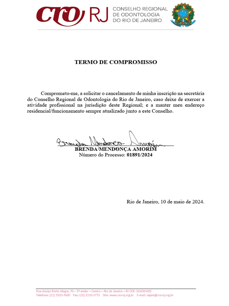 SEC - TERMO DE COMPROMISSO - PROFISSIONAL - 240510 - 132038 - Cópia | PDF