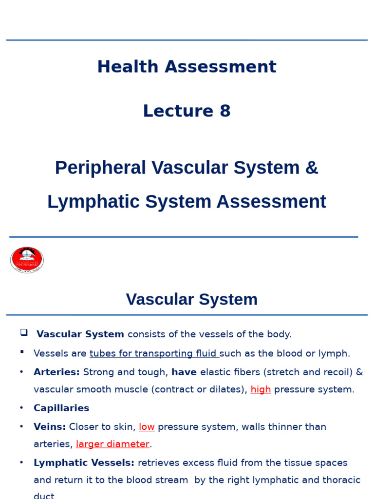 8 - Peripheral Vascular System | PDF | Edema | Human Leg