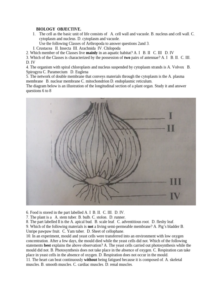 Biology Questions Obj and Theory | PDF | Ecology | Skeletal Muscle