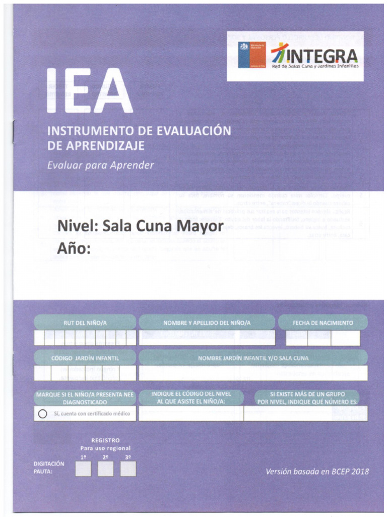 IEA SCM+ | PDF
