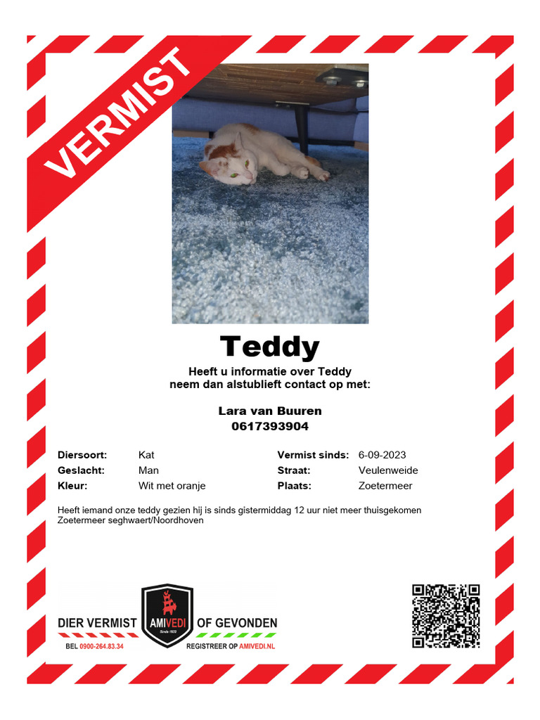 Teddy | PDF