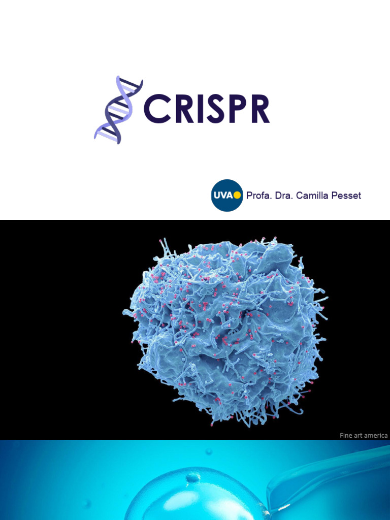 CRISPR Technology Overview 2025 | PDF | Crispr | Biological Engineering
