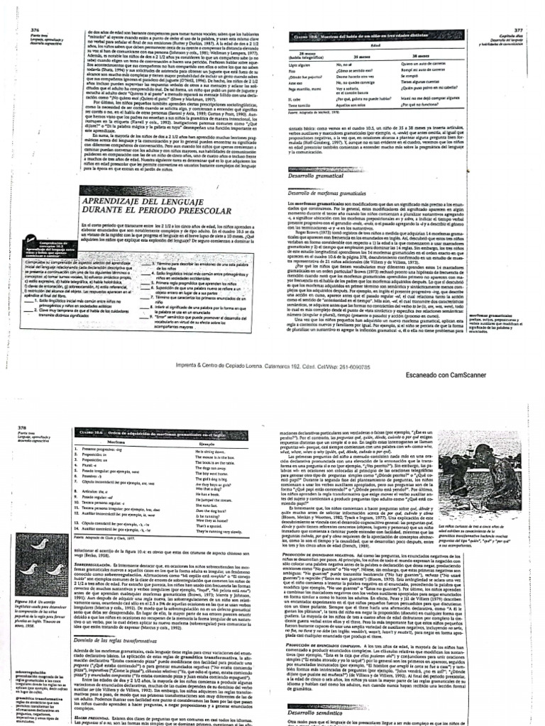 Cap Lenguaje Sheffer | PDF