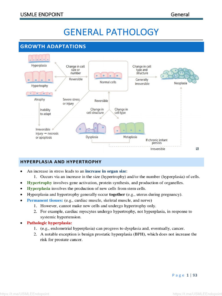4 - General Pathology - 2021 Edition | PDF