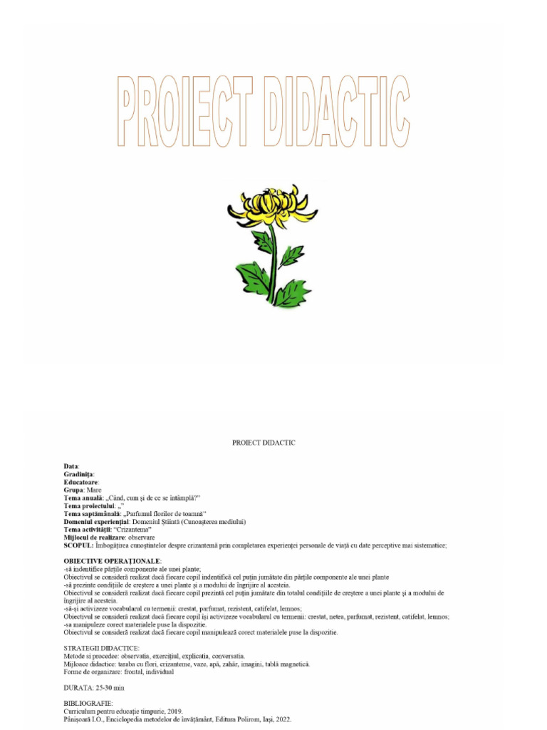 Crizantema Observare | PDF