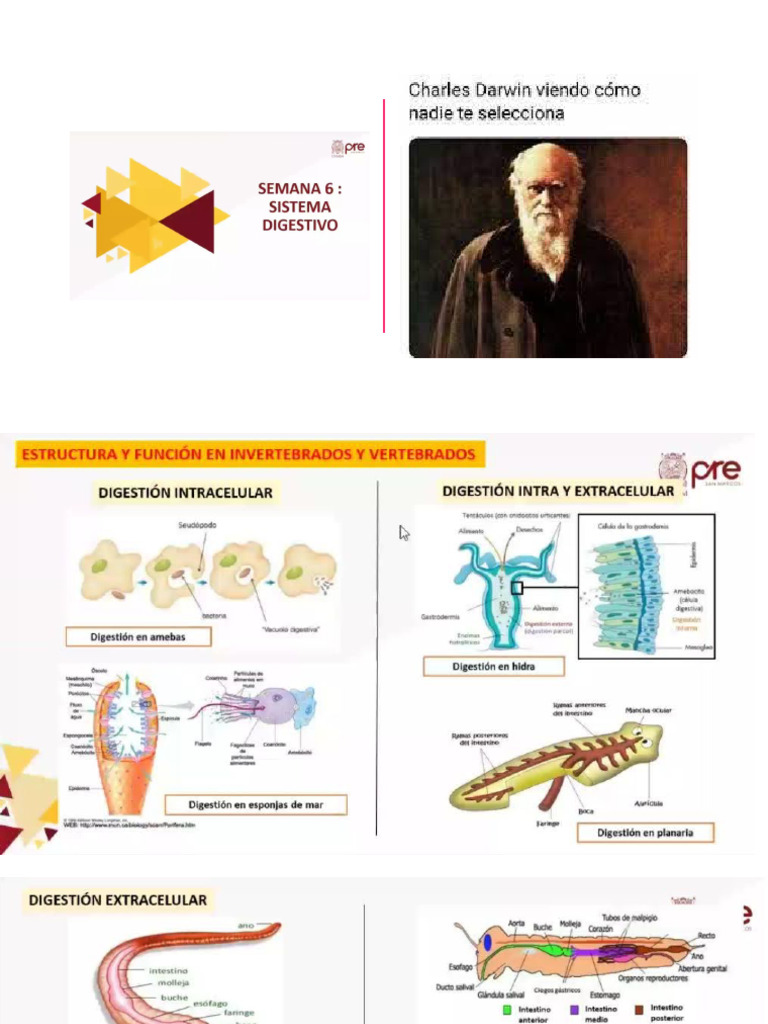 Biología Sem6 | PDF